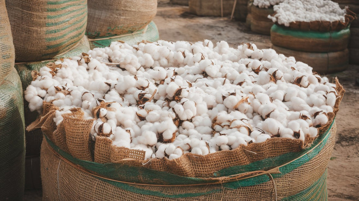 Is Cotton a Finished Product? Understanding Its Role – FADFAY