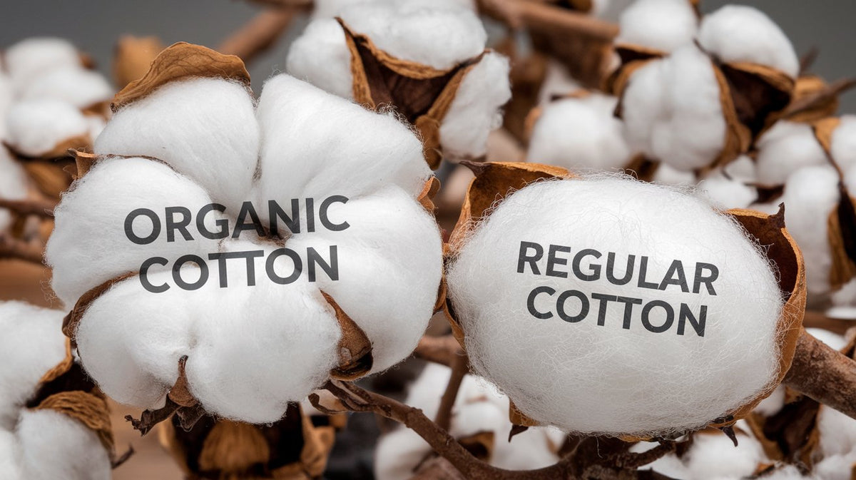 Organic Cotton vs. Regular Cotton: How Do They Differ? – FADFAY:Cotton ...